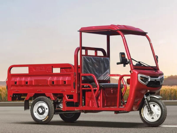 Explore the Varieties and Functionalities of Electric Tricycles in the ...