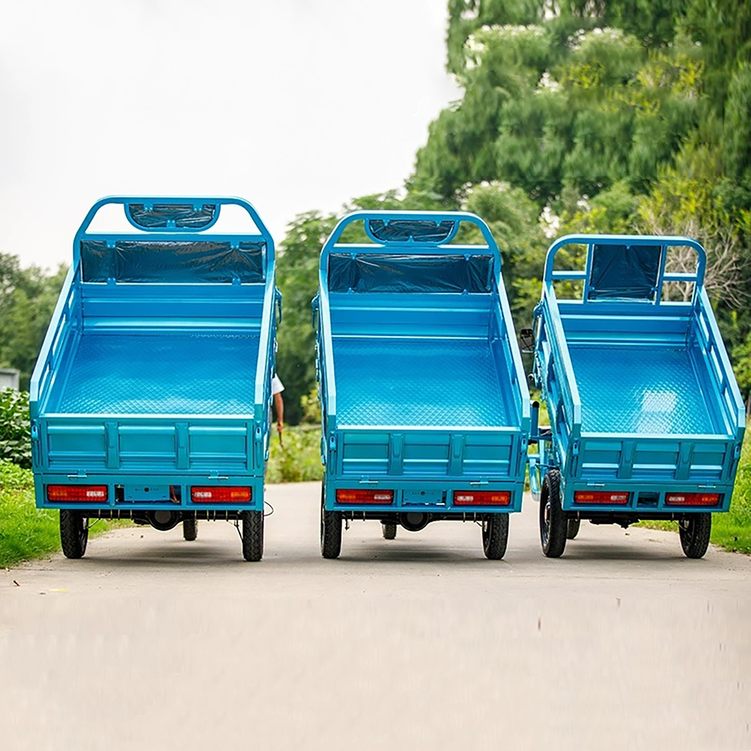 Electric Cargo Tricycle - AGL-TRIKE: Electric Tuk Tuks, Rickshaws ...